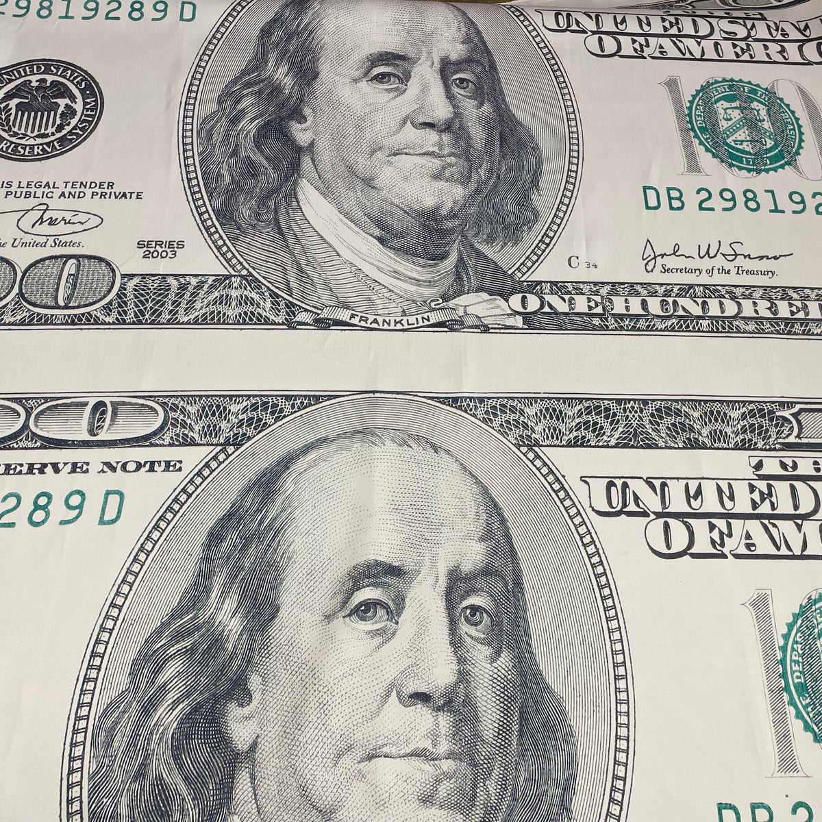 Money ( big 100 dollar sign ) – Diana Fabrics